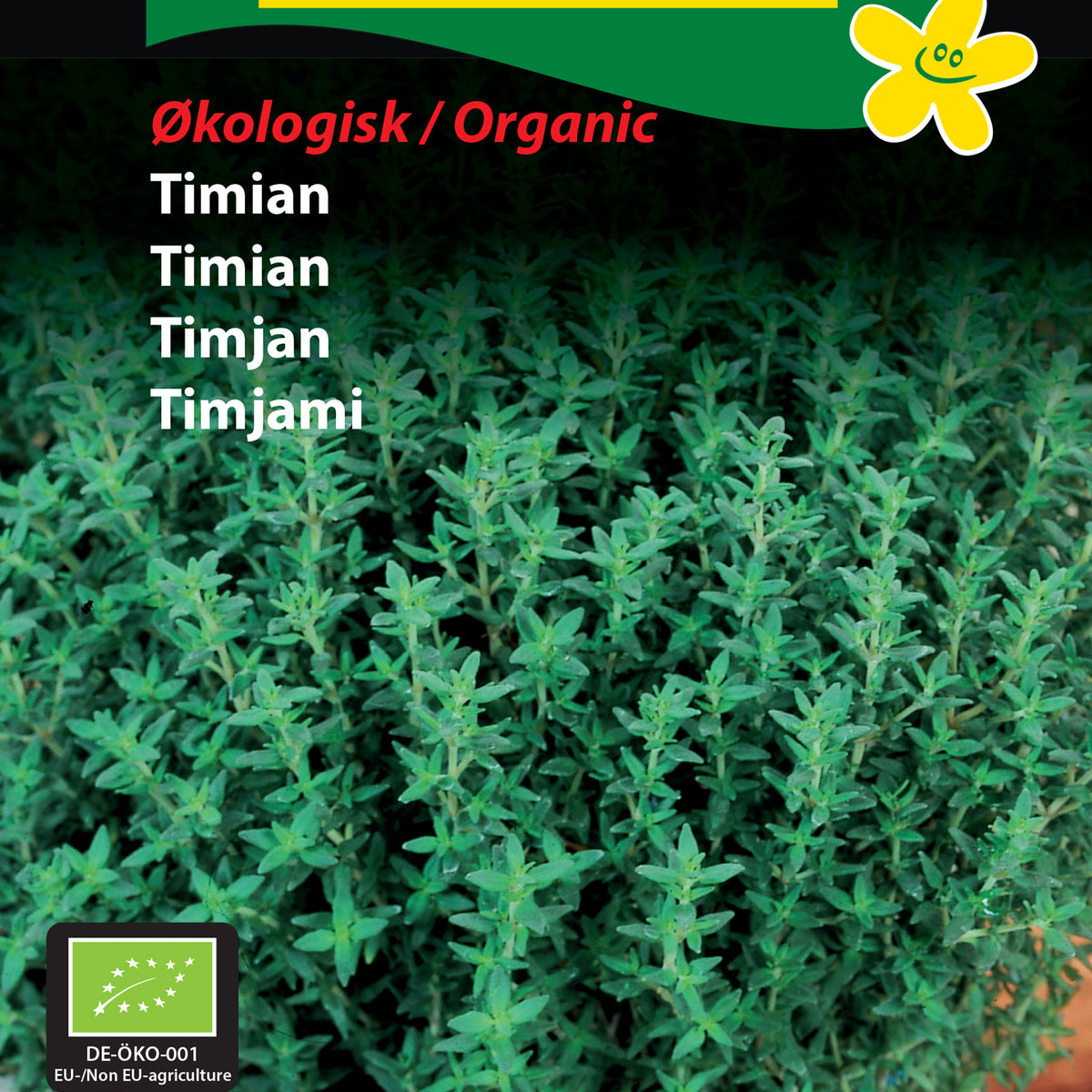 Timjan EKO – Odla Shop