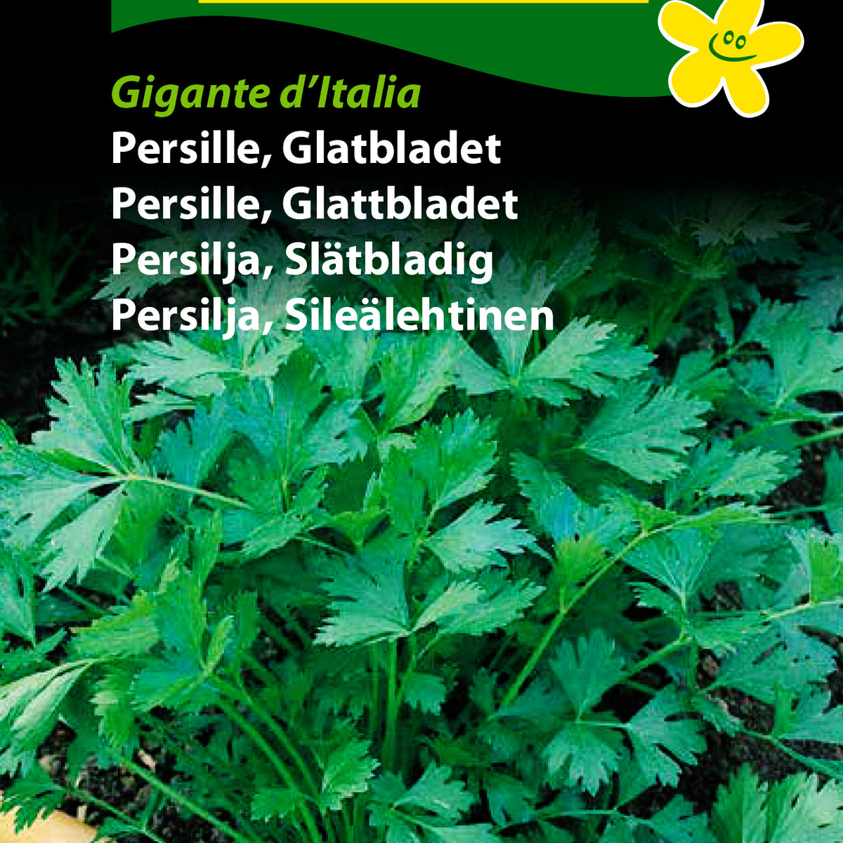Slätbladig Persilja 'Gigante d'Italia' frö – Odla Shop